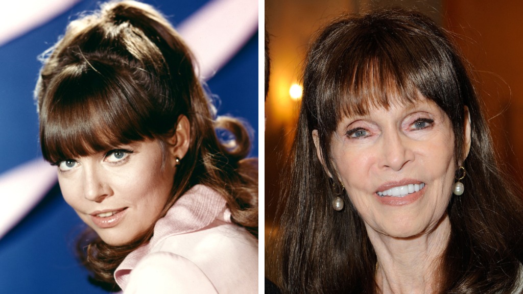 Barbara Feldon Now