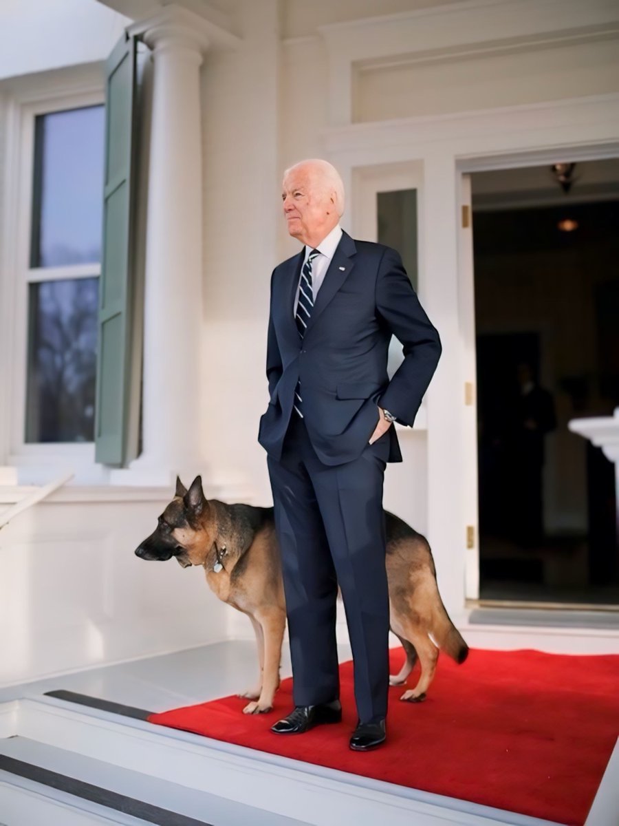 John Adams Dog