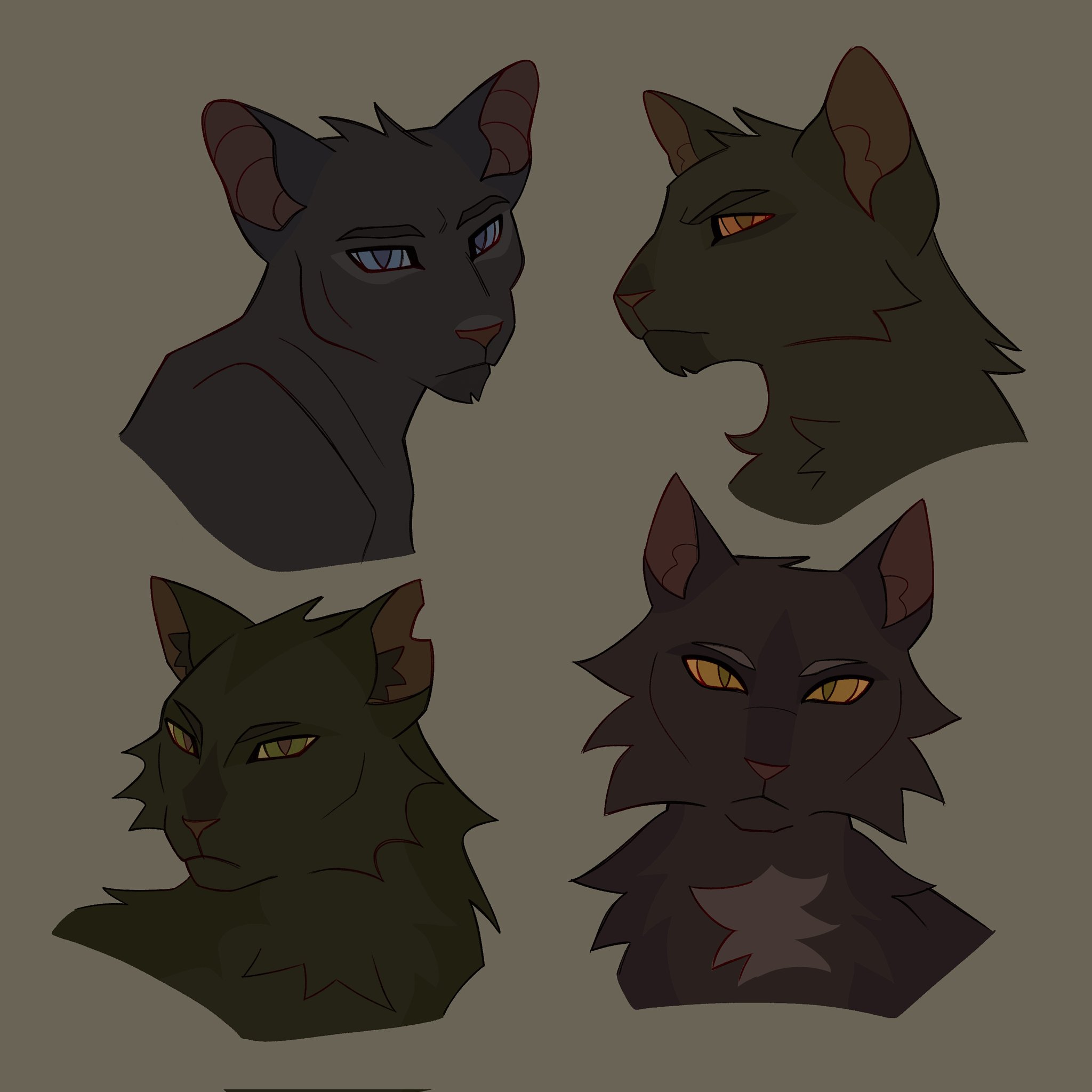 Warrior Cat Crowfeather