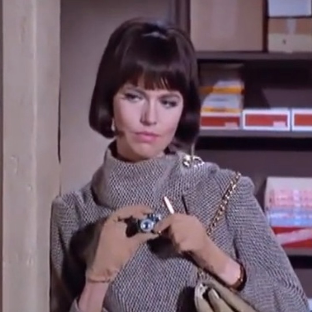 Barbara Feldon 2024
