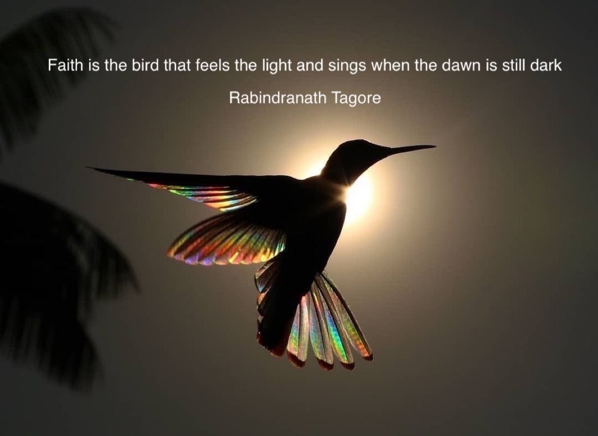 Rabindranath Tagore Bird Quotes Remembering Rabindranath Tagore On His