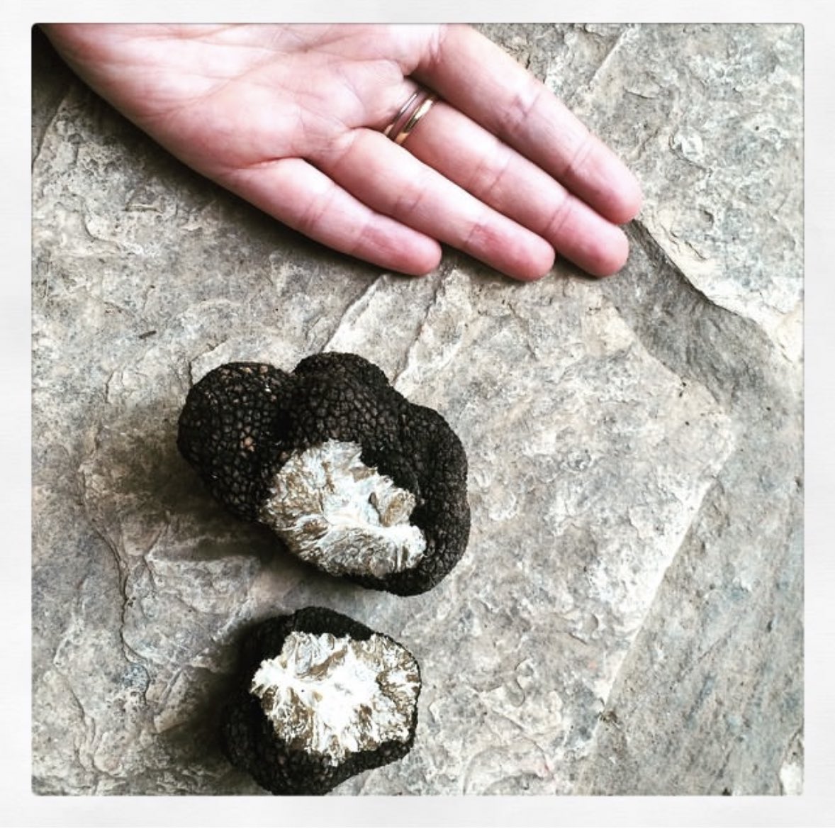 Sharon Dinur's Threads – Thread Reader App