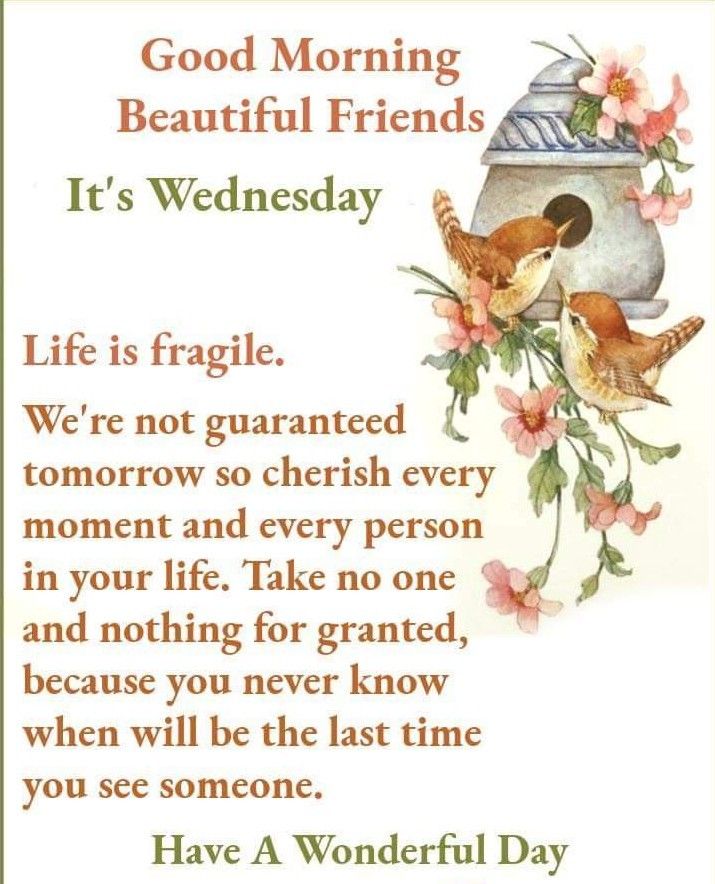 Beautiful Wednesday Morning Quotes Best 250+ Beautiful Good Morning