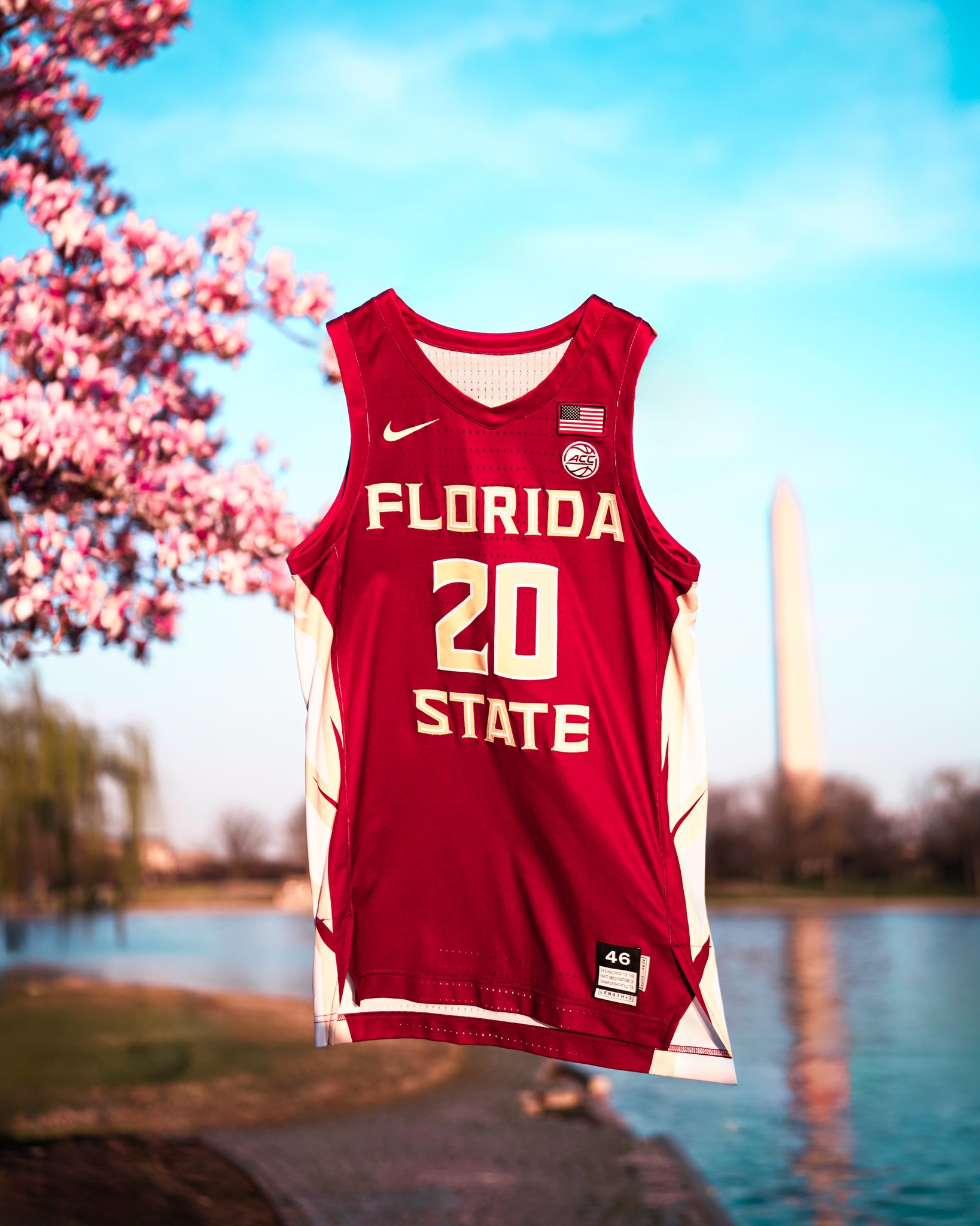 Fsu Hintergrundbild Nike Florida State Seminoles Fanatics Primary Logo