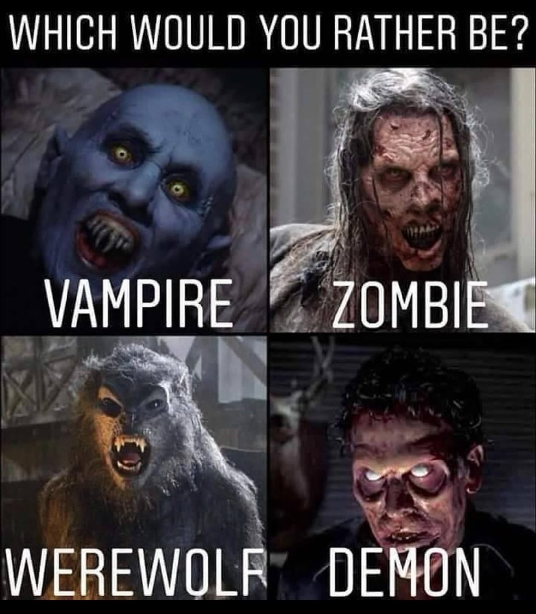 Zombie Vampire Werewolf