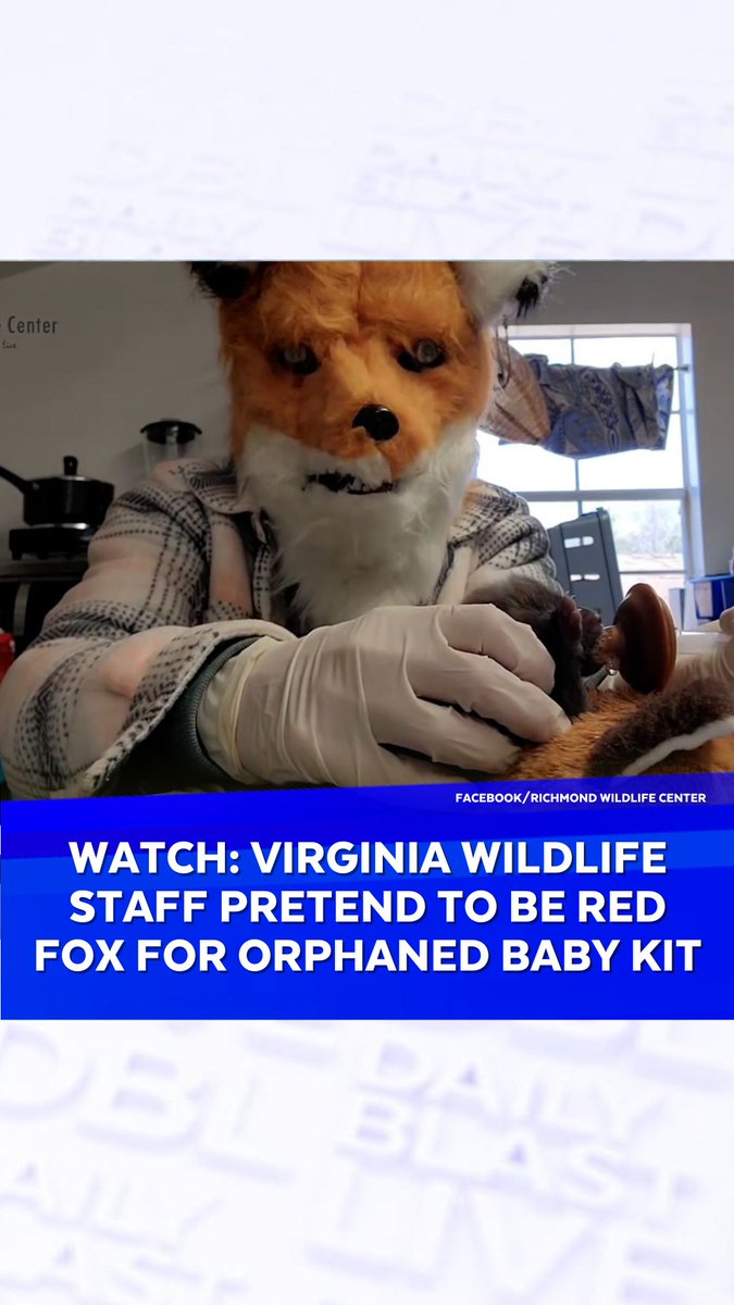 Vagfax Memes