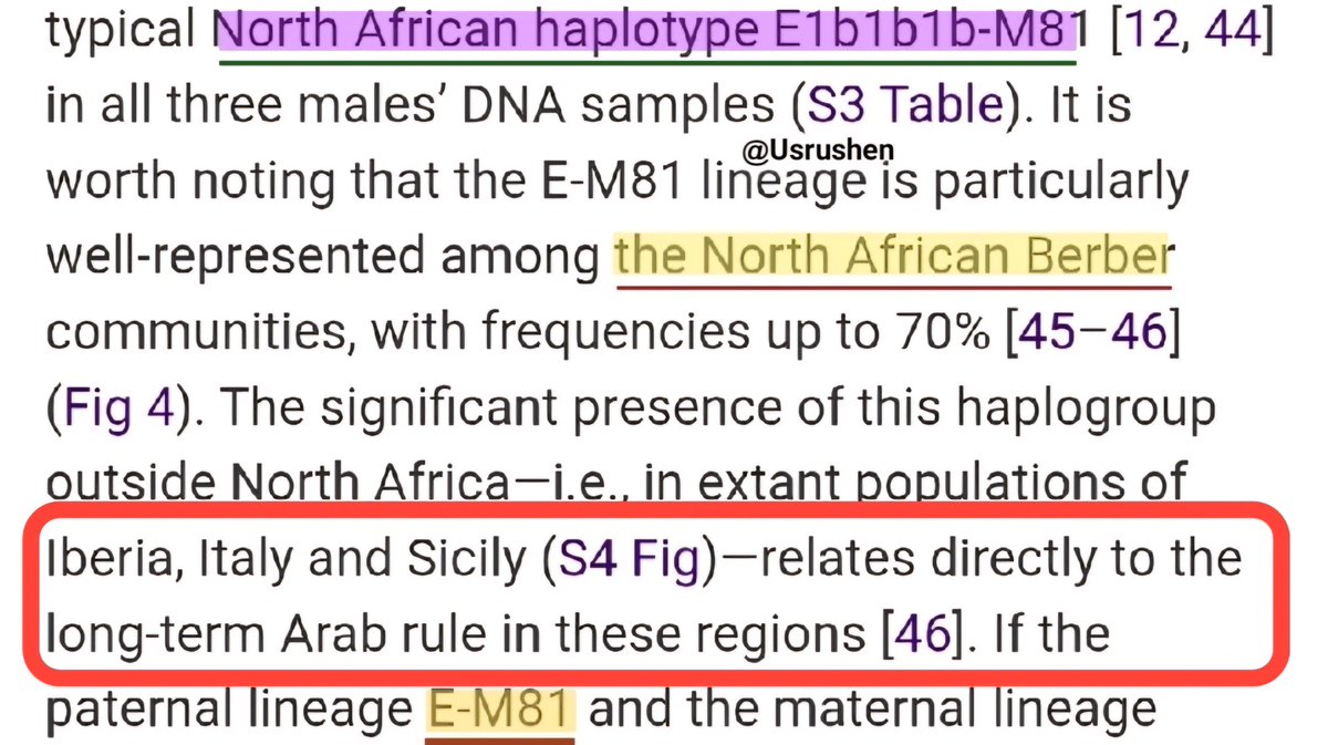 سلسلة تغريدات مهمة جداً 🛑 بعنوان " عروبة الـ EM81 بالدراسات " 🚨 البرفسور : اليكسي رومانشكُوف في ...