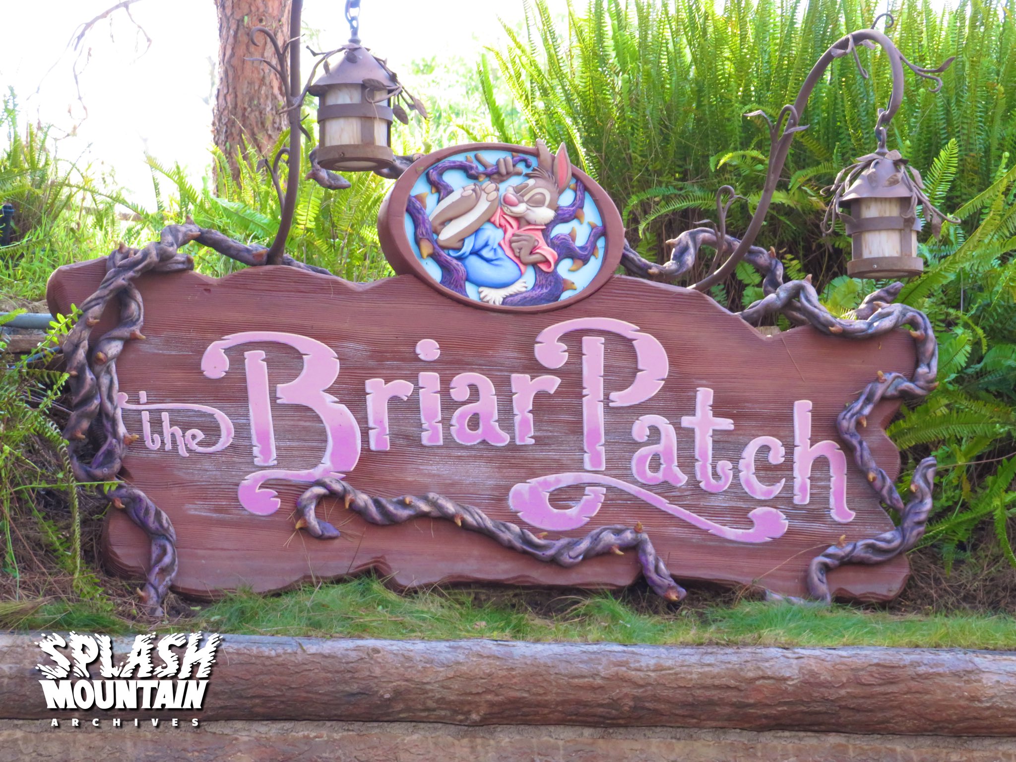 Brer Rabbit Briar Patch