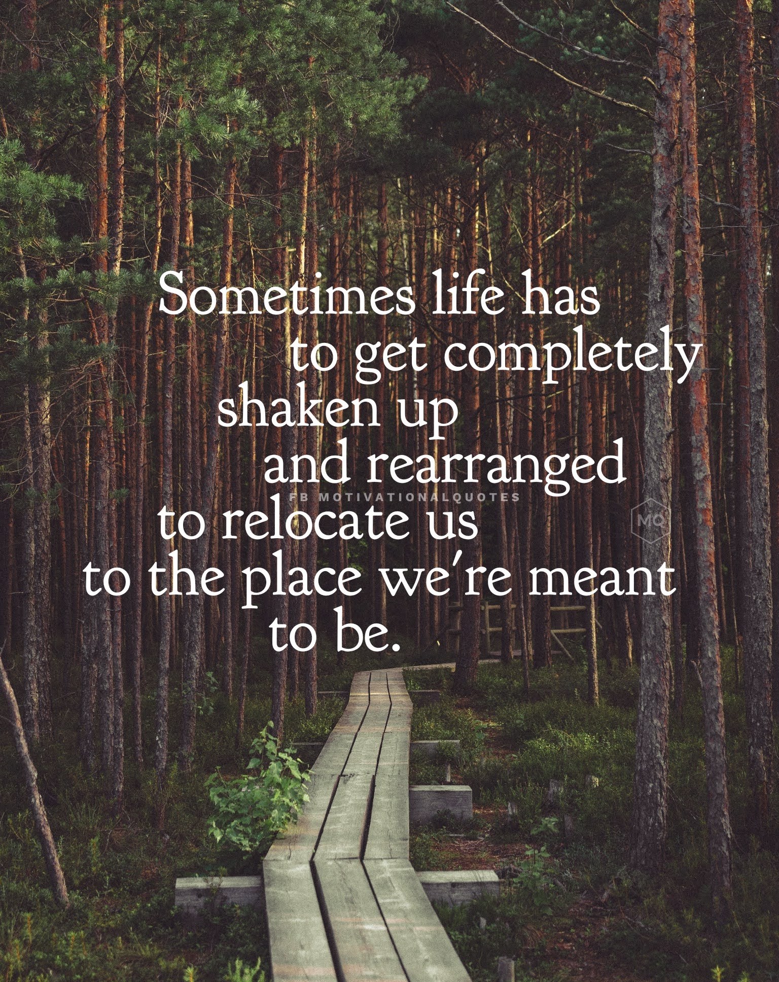 Shaken Quotes Page 122 | HD Sayings And Wallpapers | Peakpx