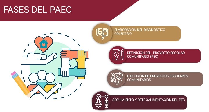 Fases del PAEC