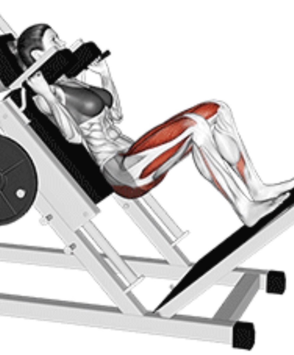 Thread By @kneeovertoesguy - George Hackenschmidt, who was...