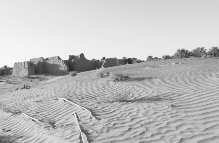 لقبيلتي بني ياس ونعيم معارك وغارات عديدة على عمان اثناء الحرب الأهلية ...