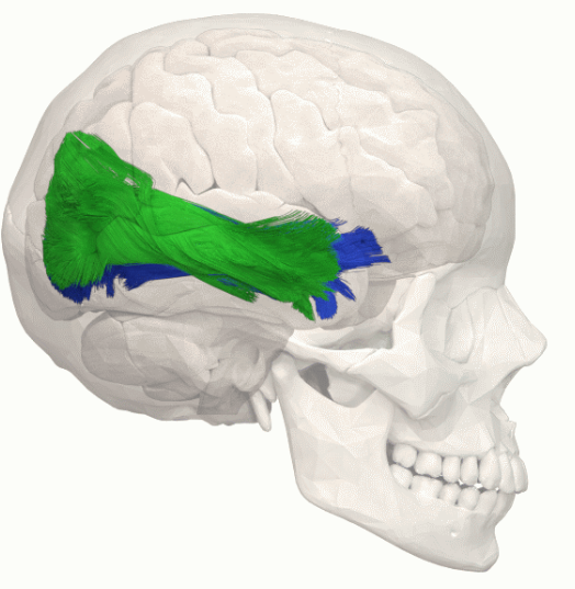 Aaron Boes's Threads – Thread Reader App