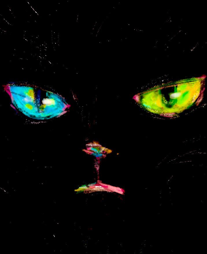 sesame. ㏲㎨ځ๋࣭⭑ #art #cat https://t.co/iQvAF2K6Zr