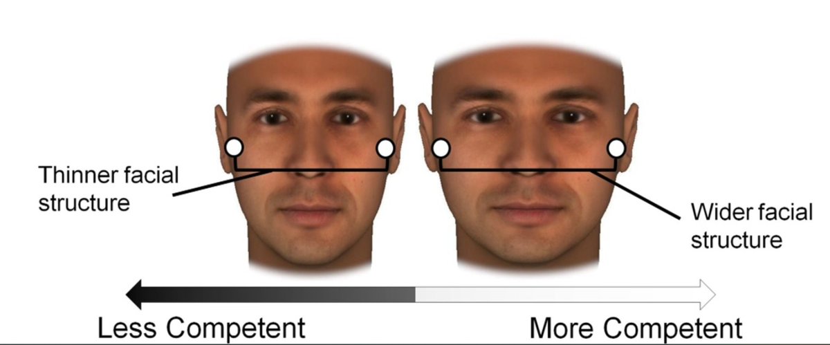 A wide face/skull is universally seen as more attractive than a tall ...