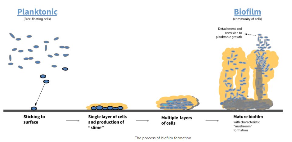 Bio-inspired Solutions & Technologies Biomining Biomimicry Biofouling ...