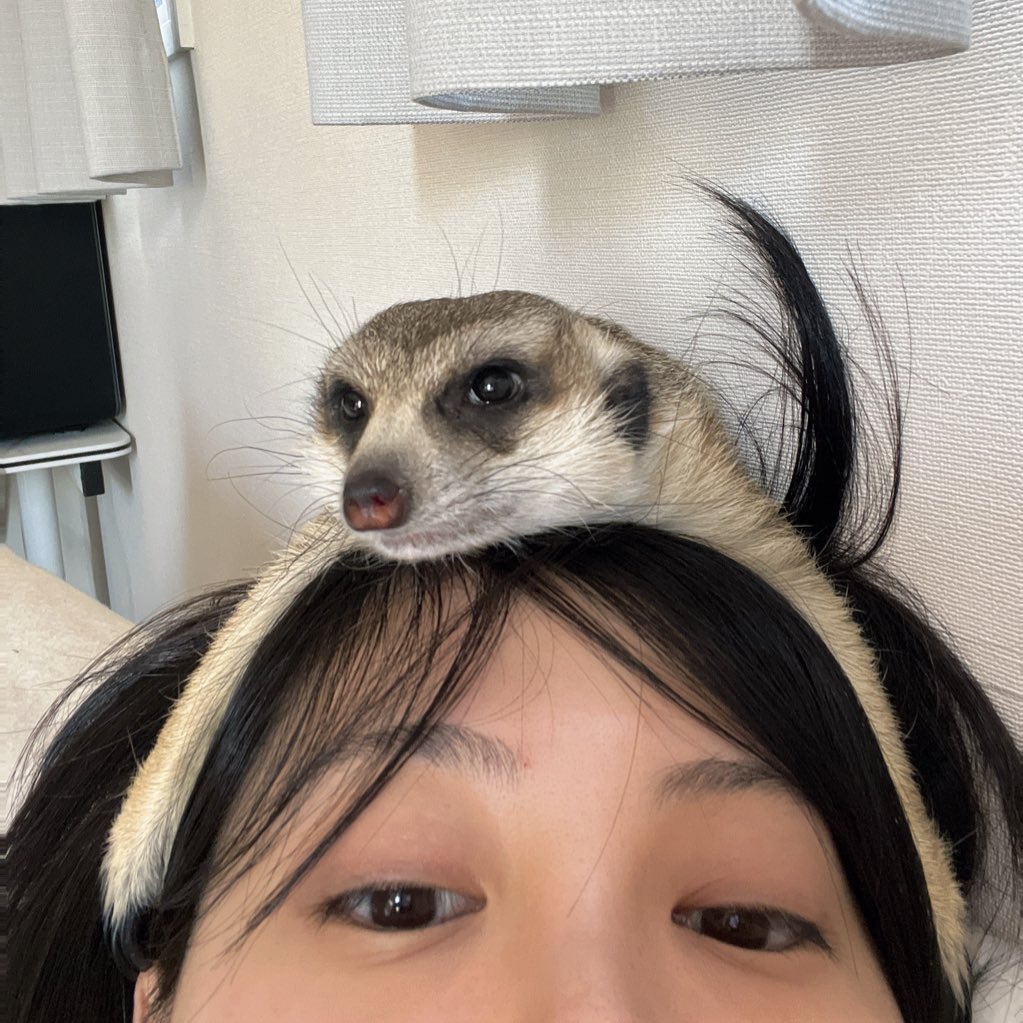 RaMu(らむ)のSNS(ブログ / X) | WEBザテレビジョン(7325)