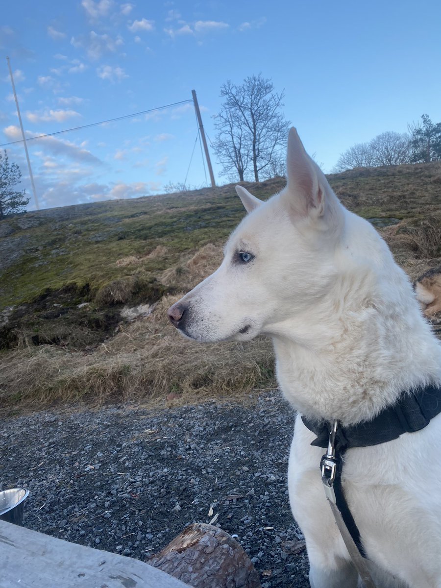 Sandrix (@3sandrix) / Posts / X