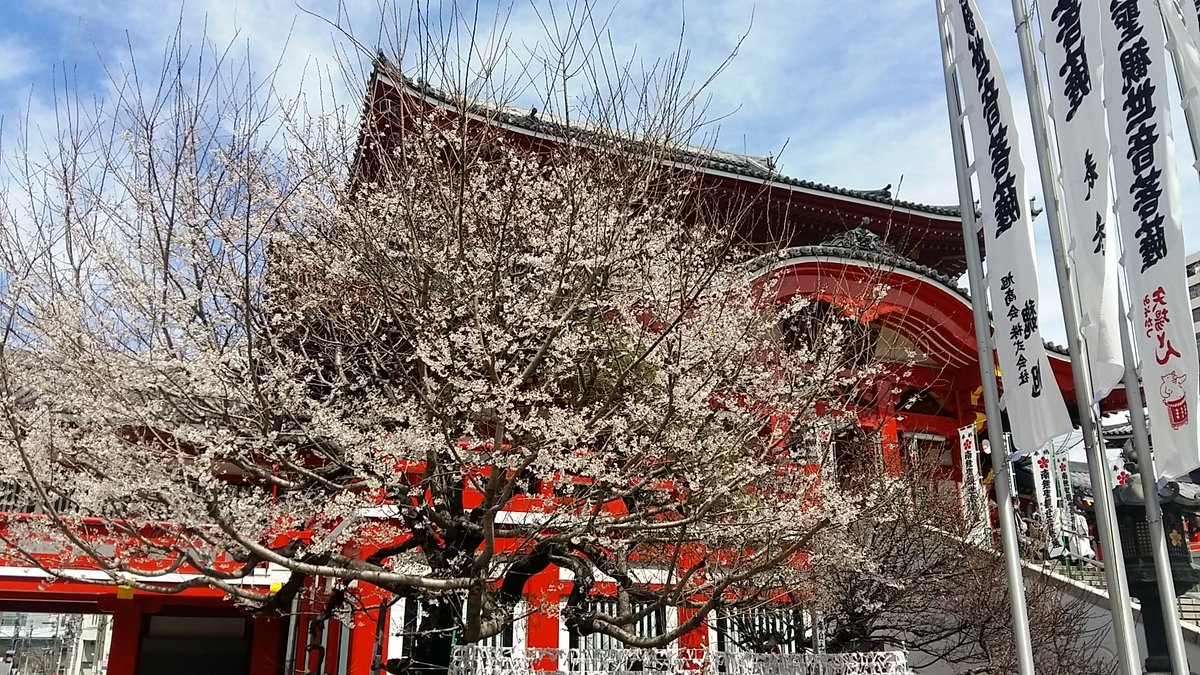 Yumiko ASAKURA(@Yu_mi_ko_888) - Twilog (ツイログ)