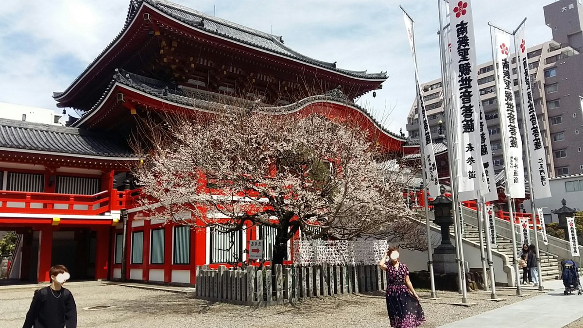 Yumiko ASAKURA(@Yu_mi_ko_888) - Twilog (ツイログ)