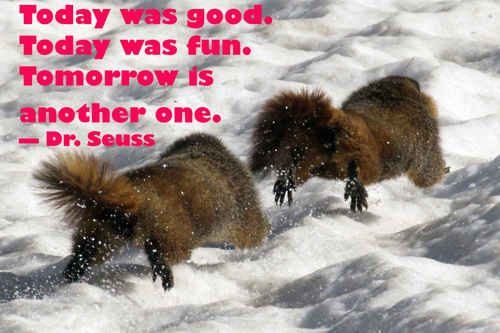 Funny Snow Day Quotes