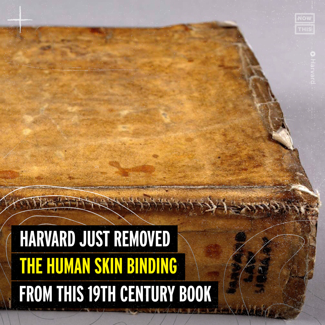 Harvard University Library Books Bound In Human Skin Harvard Library