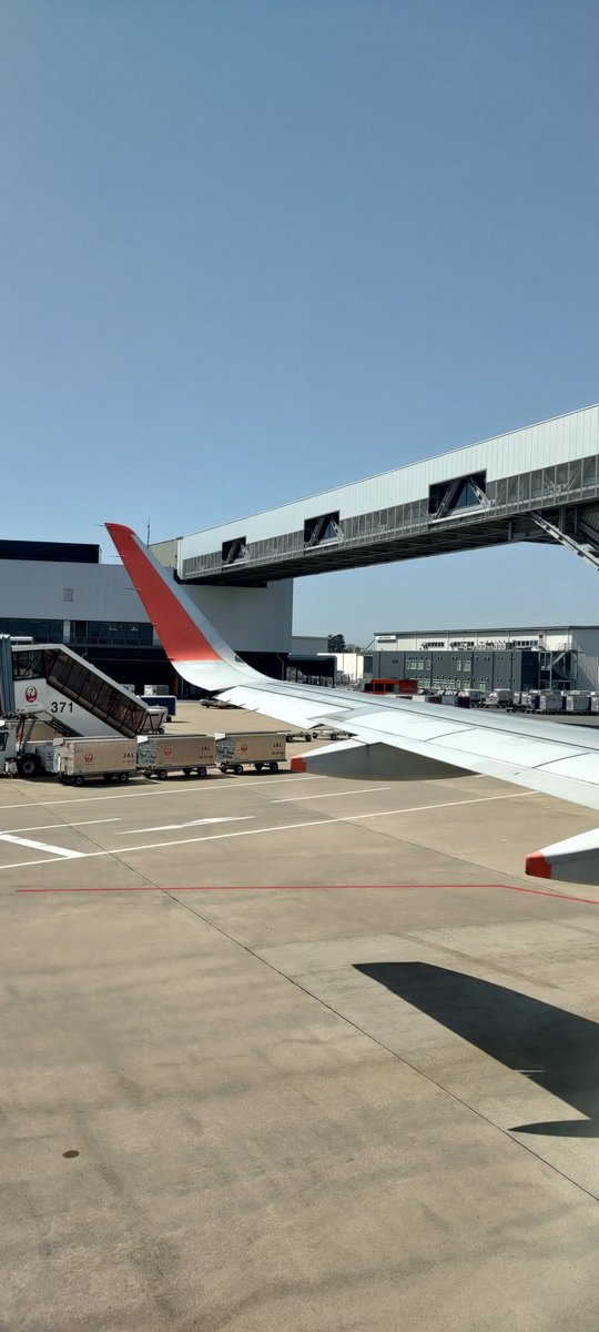 壱(@ichi__p) - Twilog (ツイログ)