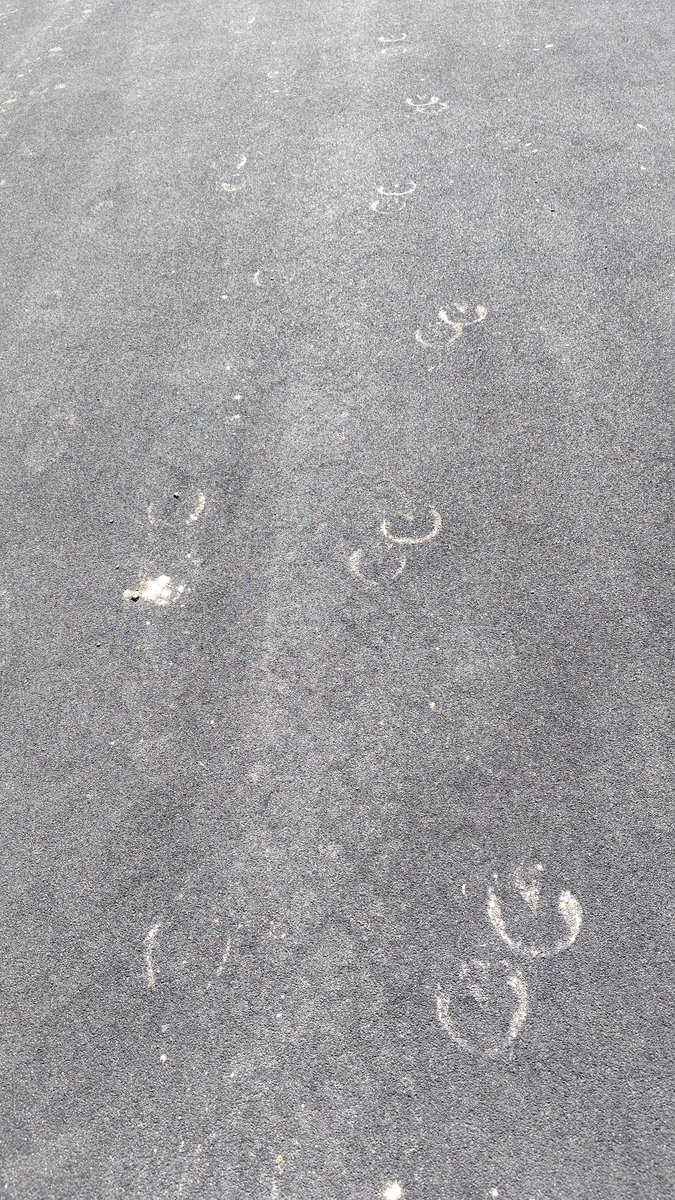 hg45 祝☆CASIOPEA-P4 NEW ALBUM RECORDING(@hg45hg) - Twilog (ツイログ)