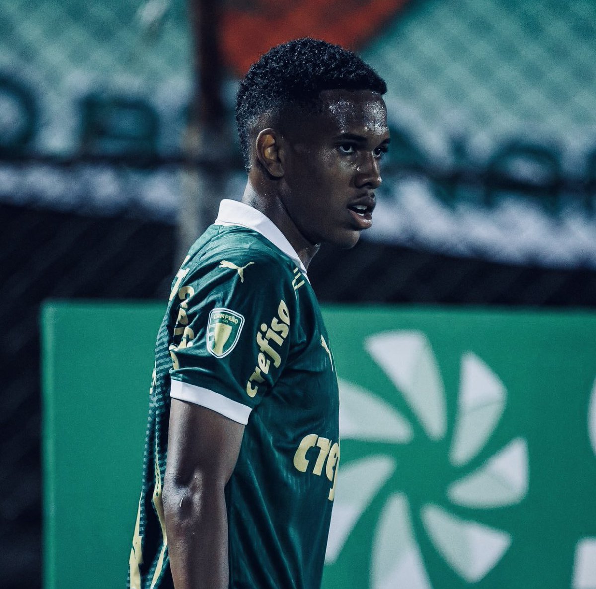 HarveyDiamonds🏴󠁧󠁢󠁷󠁬󠁳󠁿💎's Threads – Thread Reader App