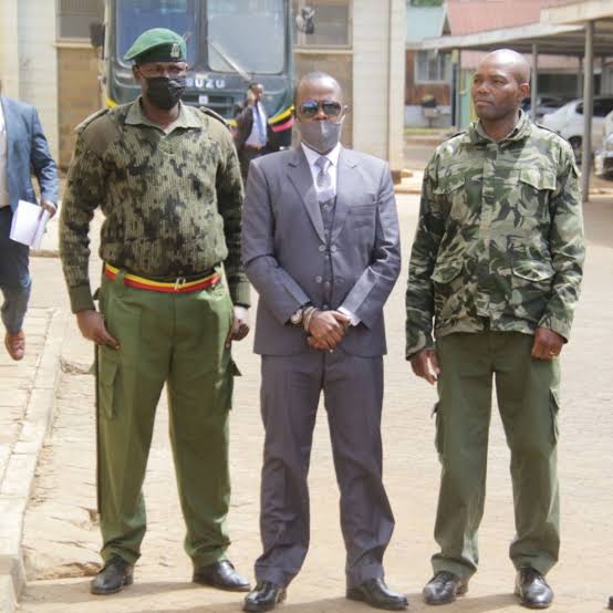 Don Bull's Threads – Thread Reader App