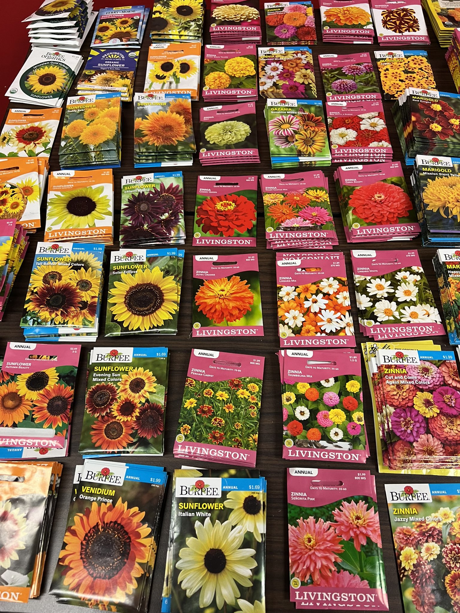 American Seed Border Mix, Assorted
