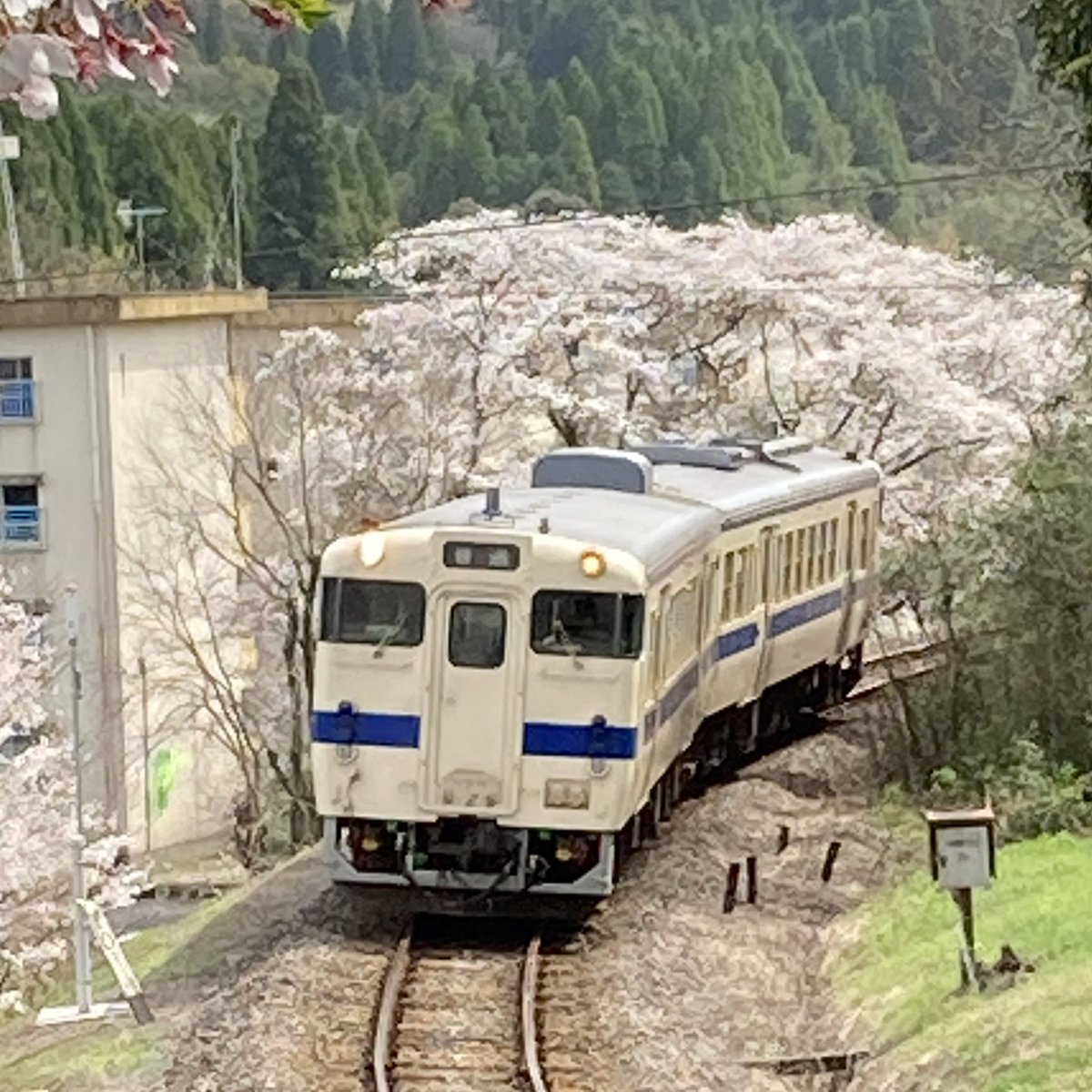 Ryusuke IMURA(@tigers_1964) - Twilog (ツイログ)