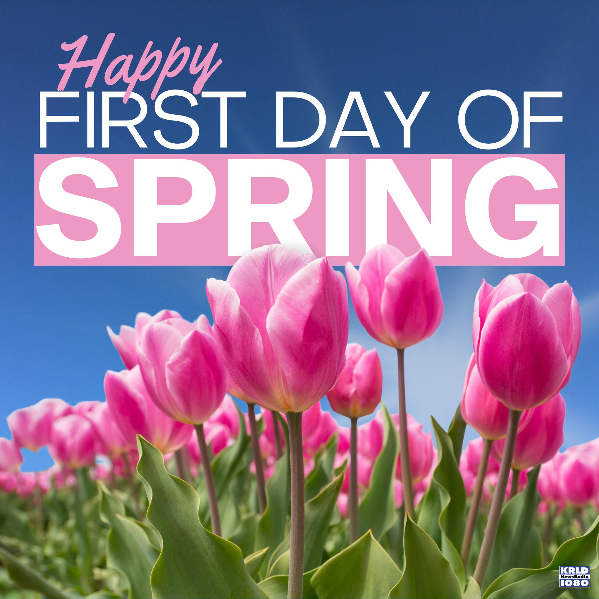 Happy First Day Of Spring Happy First Day Of Spring GIFs | Tenor