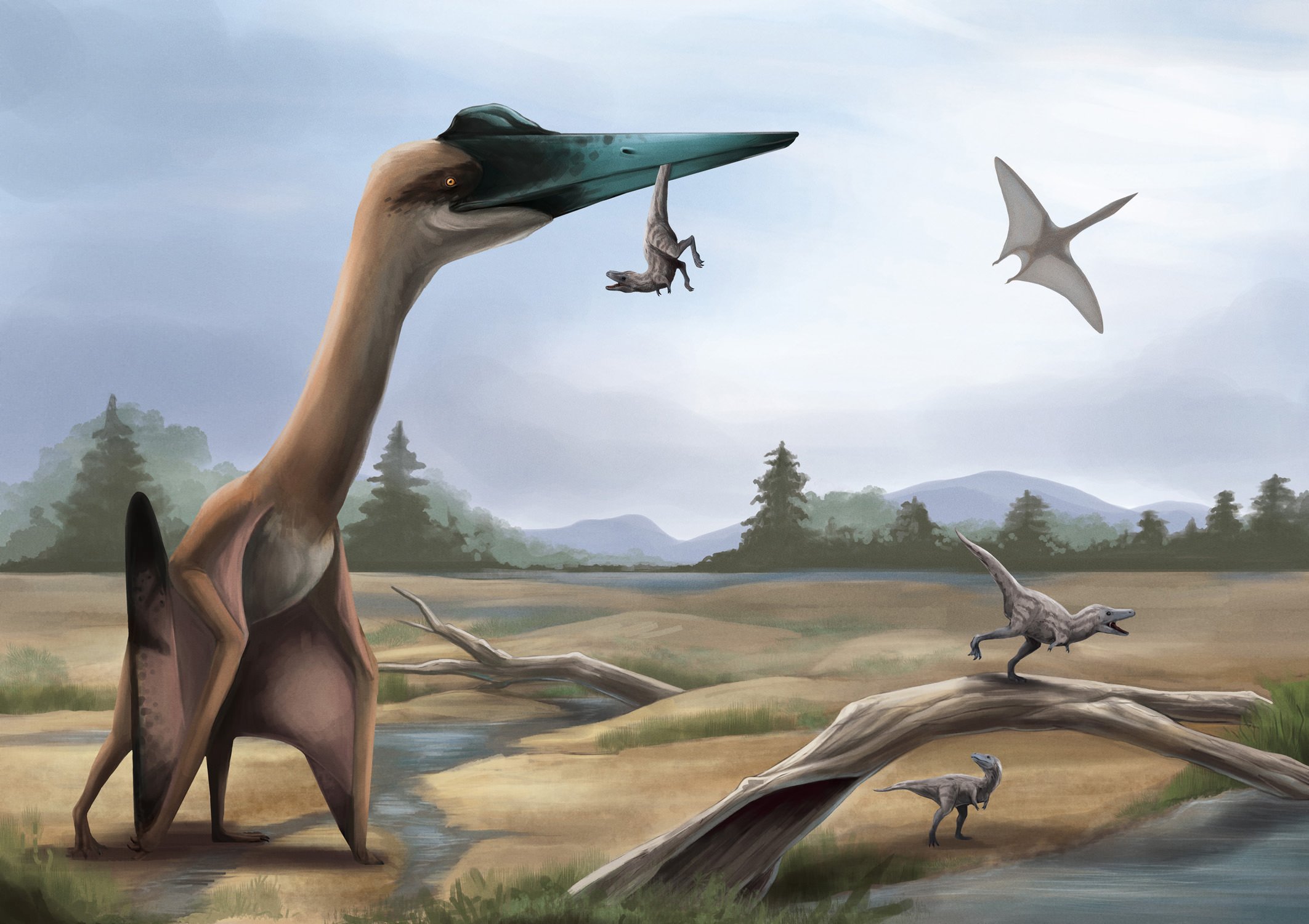 Quetzalcoatlus Northropi Giraffe