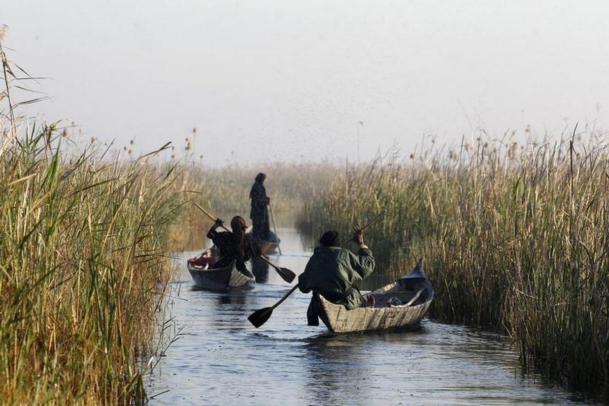 The culture of Marsh Arabs is very interesting. These are people of ...