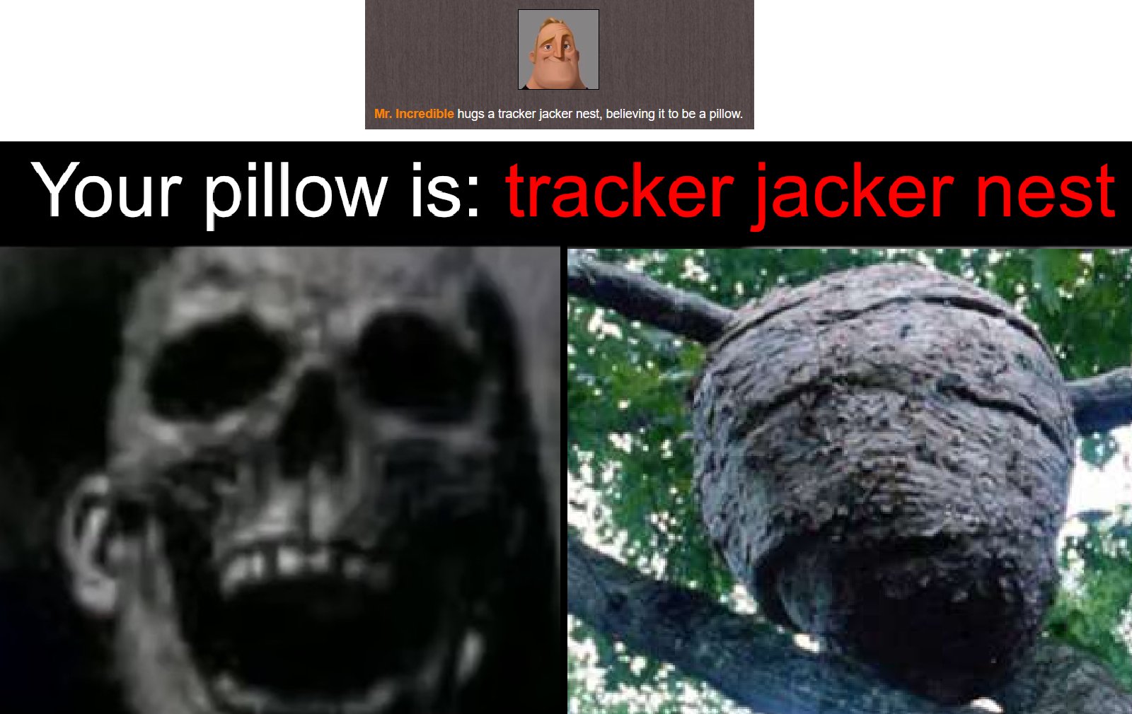 Tracker Jacker Nest
