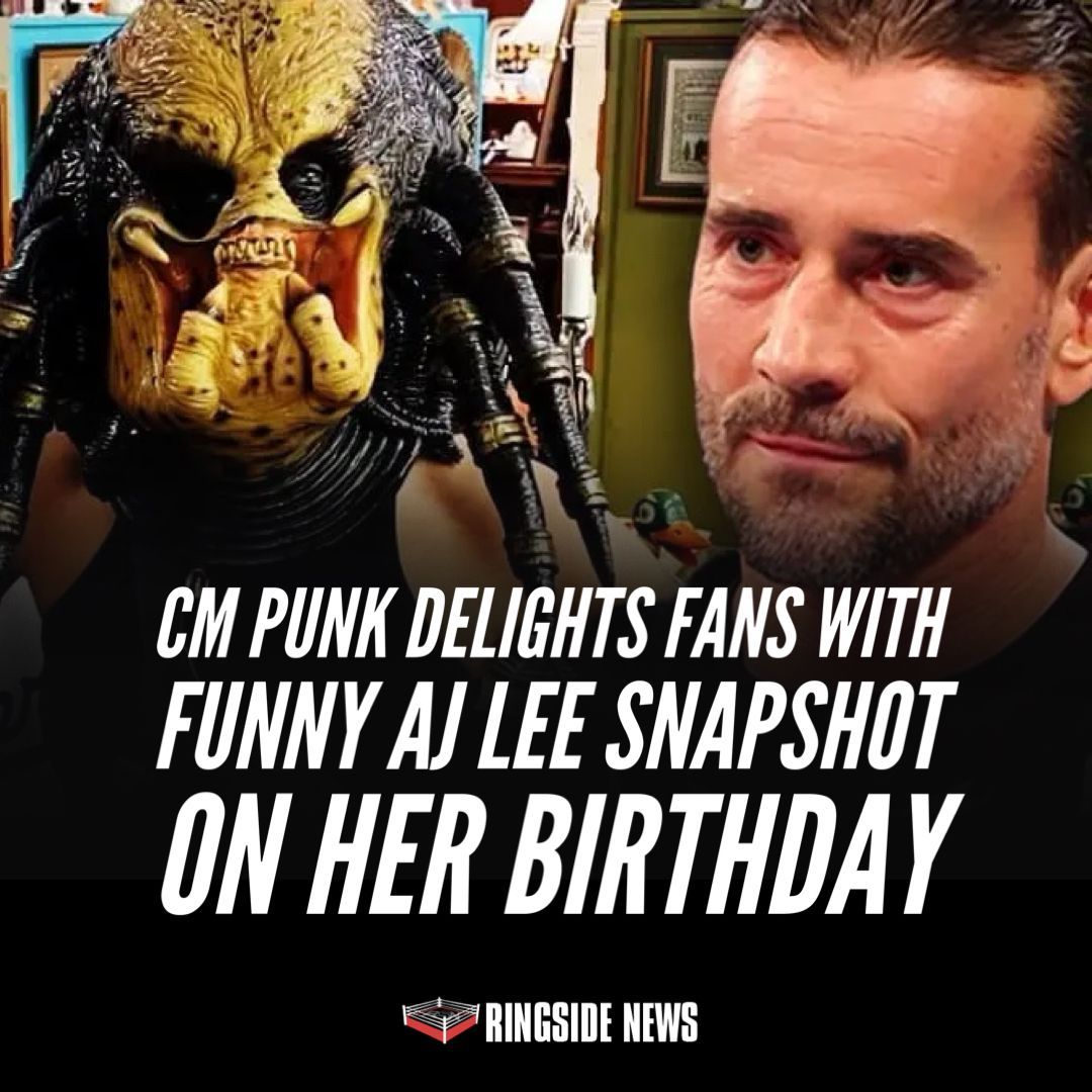 Aj Lee Memes CM Punk Delights Fans With Funny AJ Lee Snapshot On Her