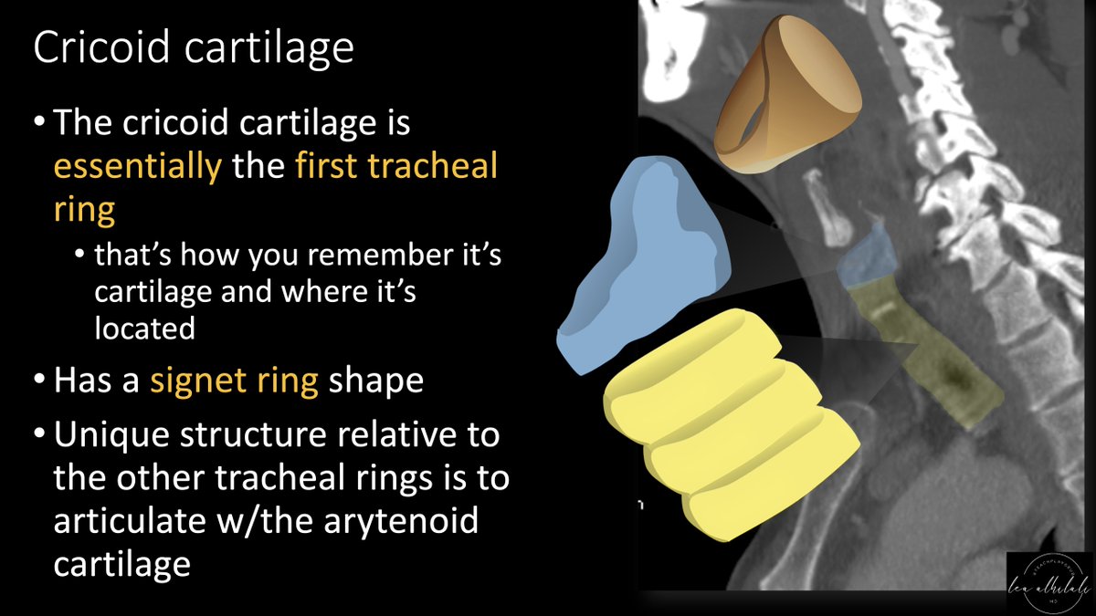 1/Do questions about laryngeal anatomy leave you speechless? Is the ...