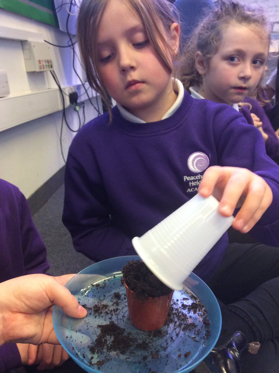 Welcome to Peacehaven Heights