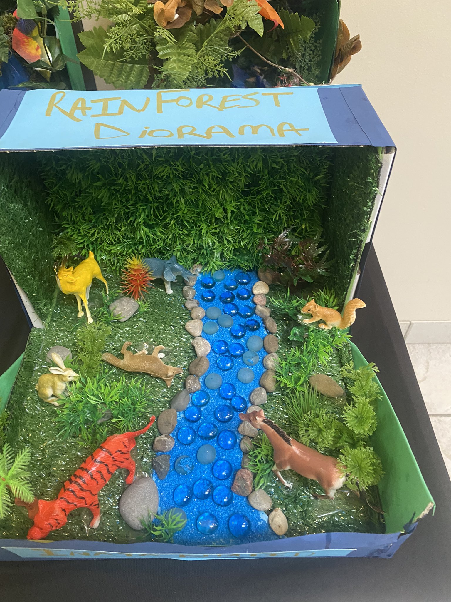 Tropical Rainforest Shoebox Project Our Lady Of Perpetual Succour