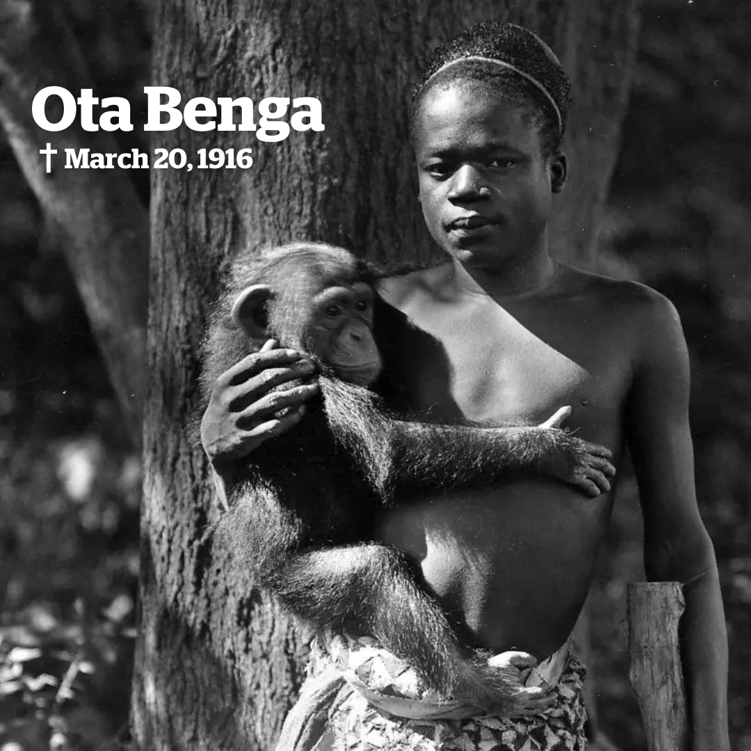 Ota Benga