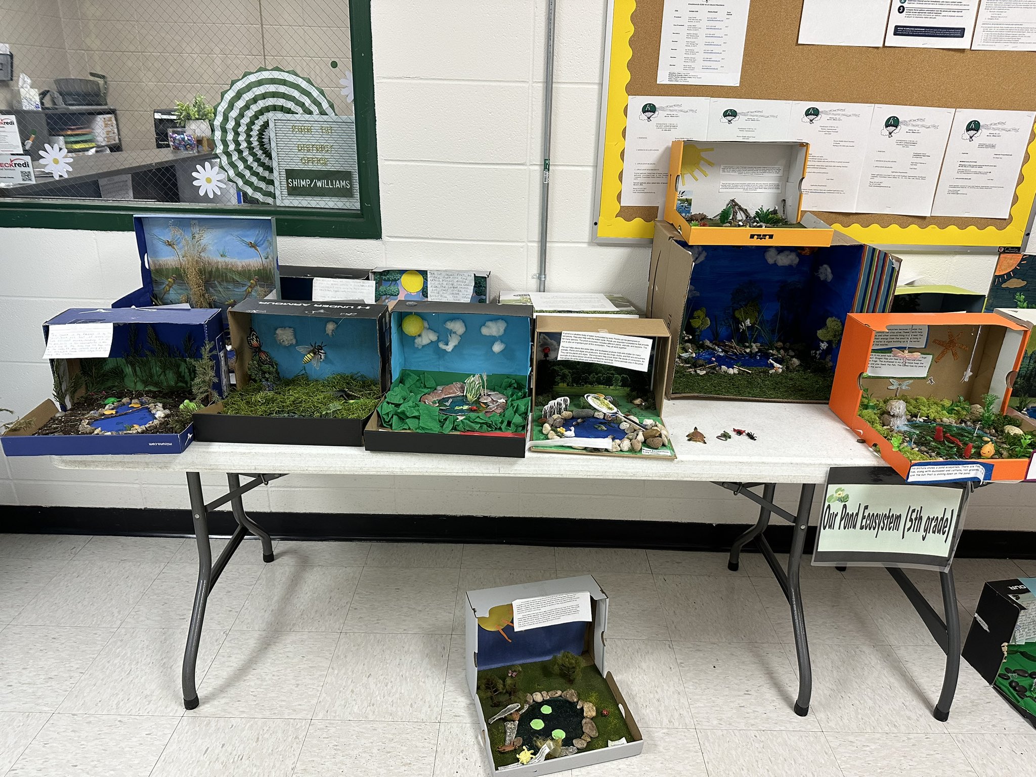 Ecosystem Diorama Digital Ecosystem Adventures: Next Gen Diorama