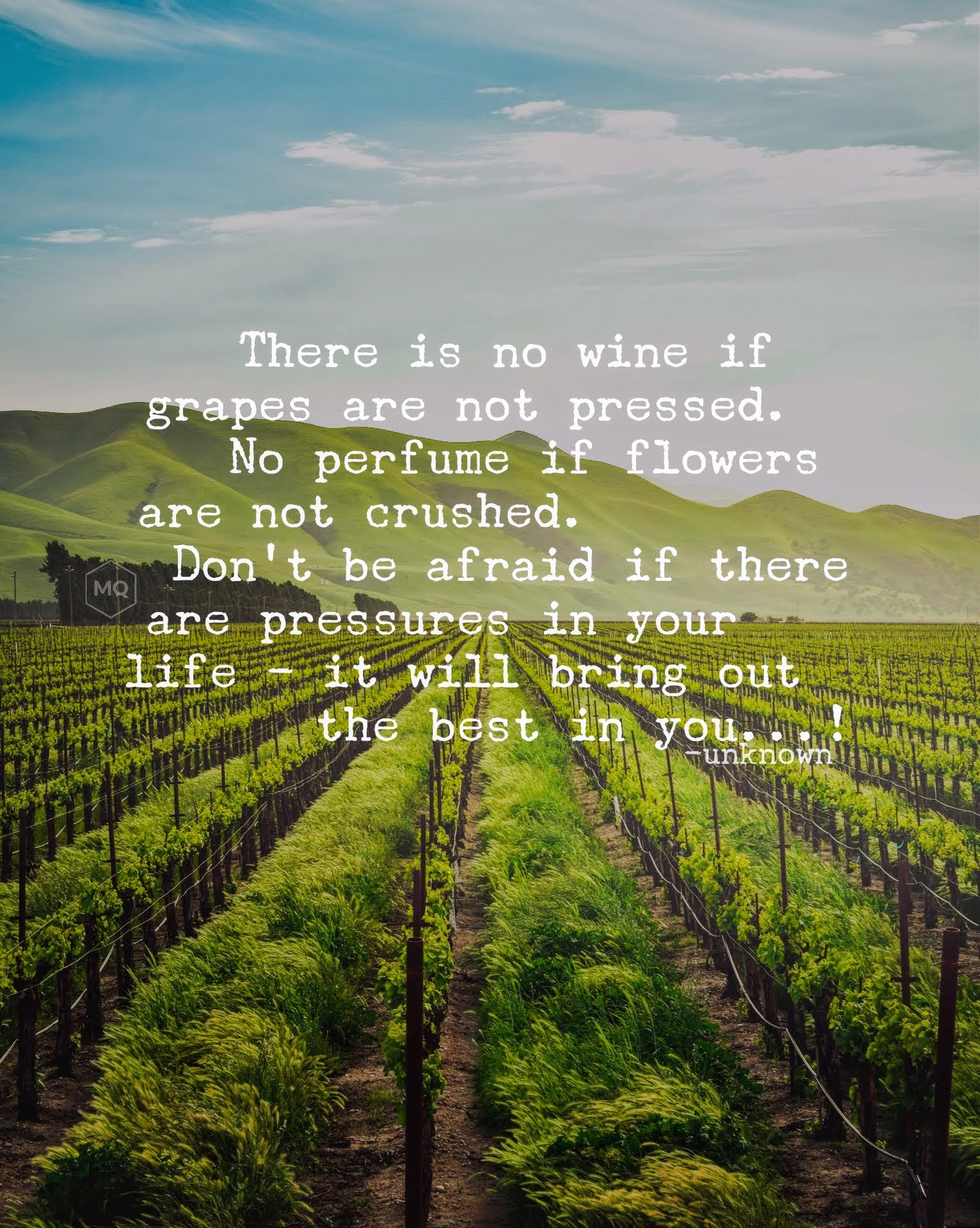 Never Pressed Quotes