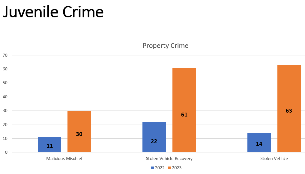 Juvenile Delinquency Statistics 2024