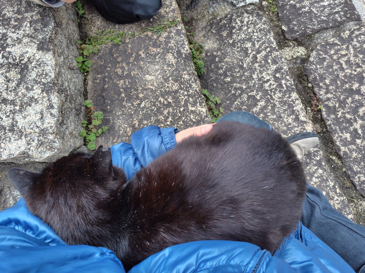 飛鷺銀(@gin_hisagi) - Twilog (ツイログ)