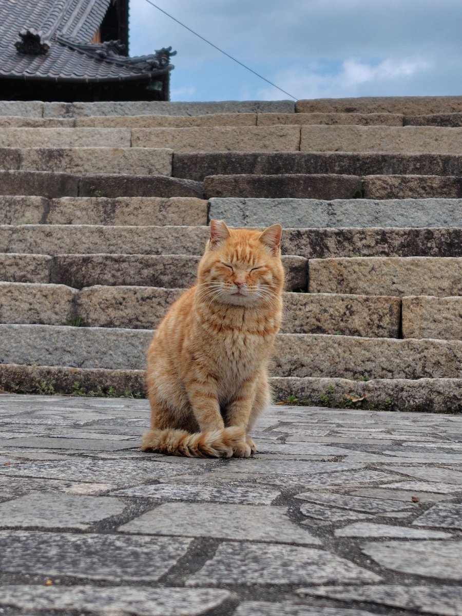 飛鷺銀(@gin_hisagi) - Twilog (ツイログ)