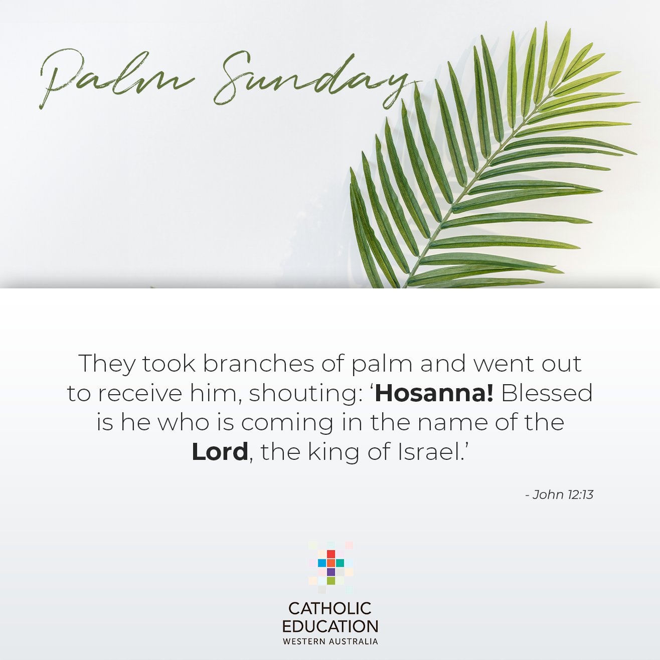 Palm Sunday 2024 Catholic