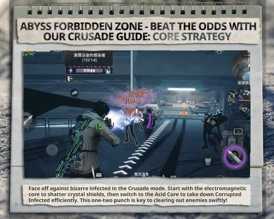 Abyss Zone In Pictures: Creatures Of Australia's Deep Sea Abyss