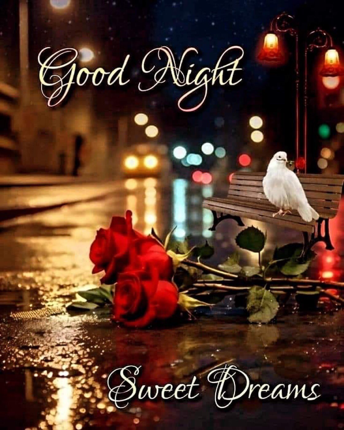 Good Night Take Care 150+ Good Night Quotes | Inspirational Good Night
