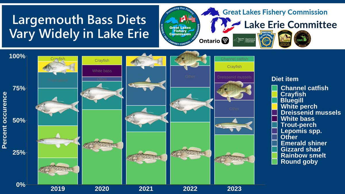 Lake Erie Fish Species Chart